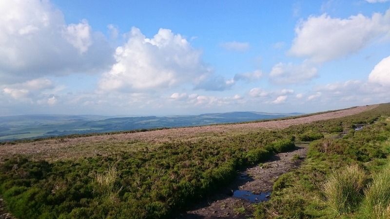 Longridge Fell Mountain Bike Trails | Photo 90928